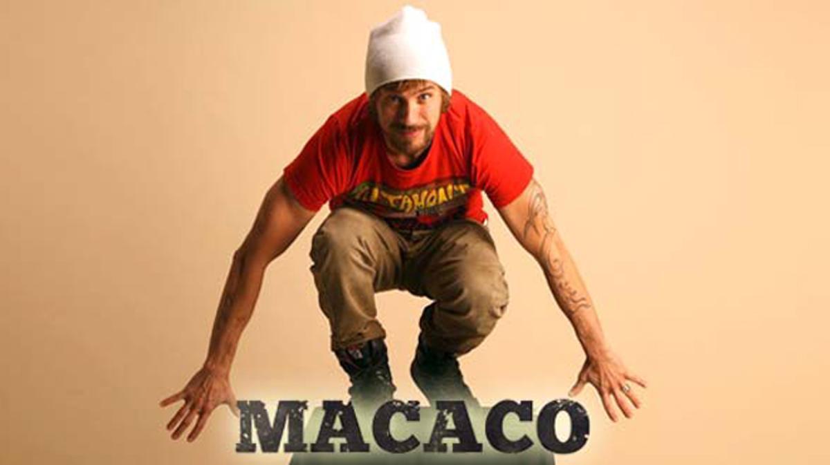 Macaco cantando 'Love is the only way'.