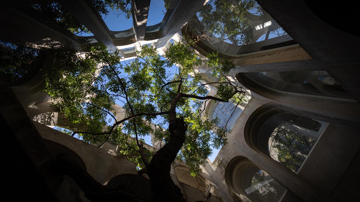 Visita al Espai Corberó, recién comprado por el ayuntamiento de ...