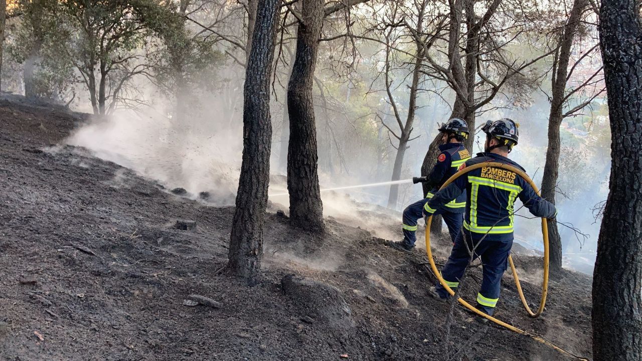 El cuerpo de bomberos activa la campaña forestal