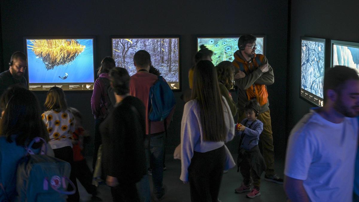 'Los colores del mundo' en Cosmocaixa/FOTOS