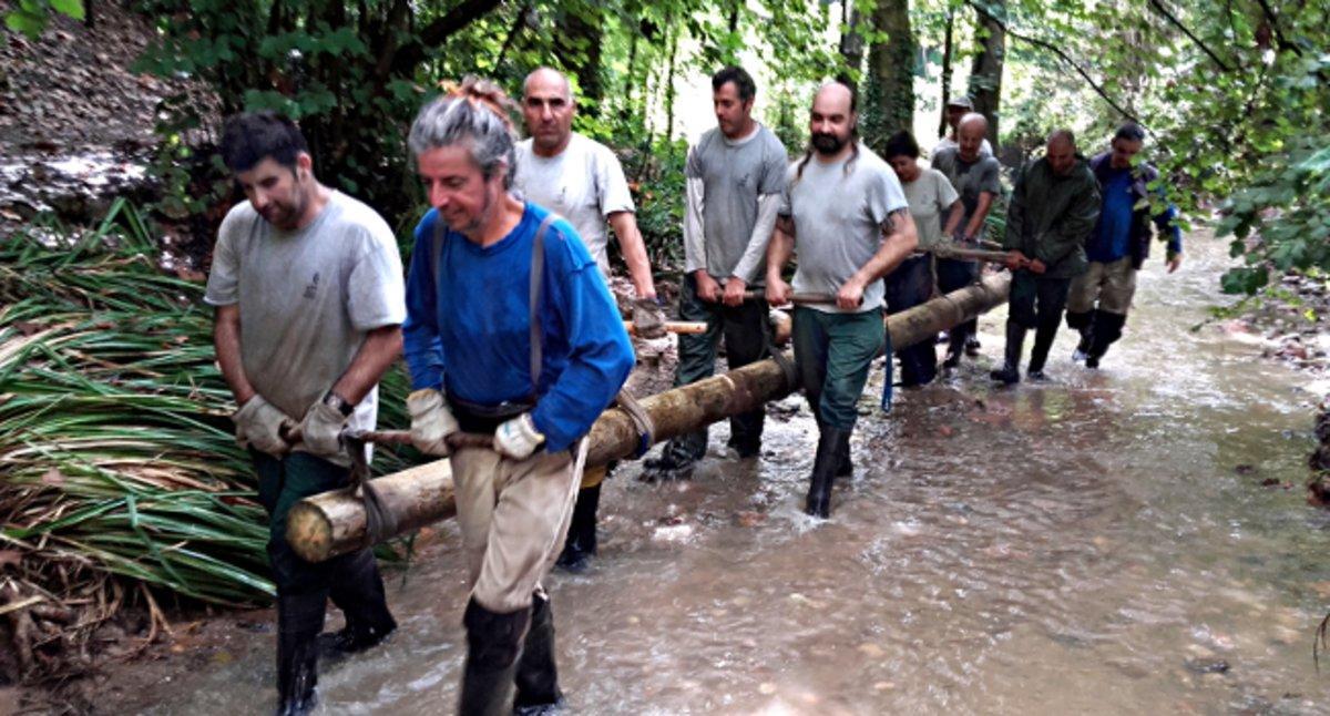 El manteniment del rodal de Sabadell incrementa un 42%