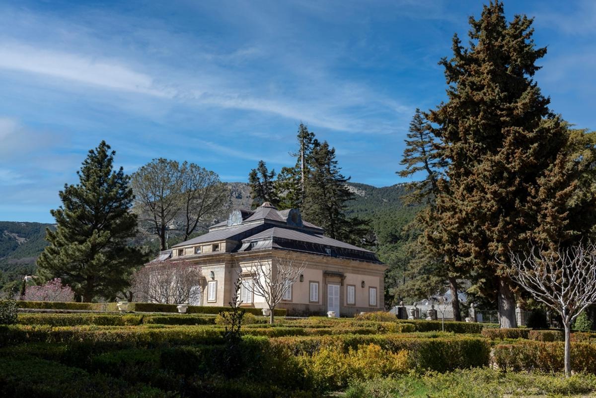 Los mejores bosques con secuoyas en España | FOTOS