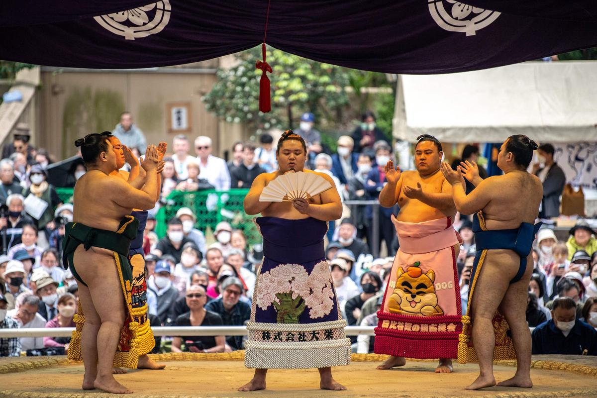 Torneo anual de sumo Honozumo en Tokio | FOTOS