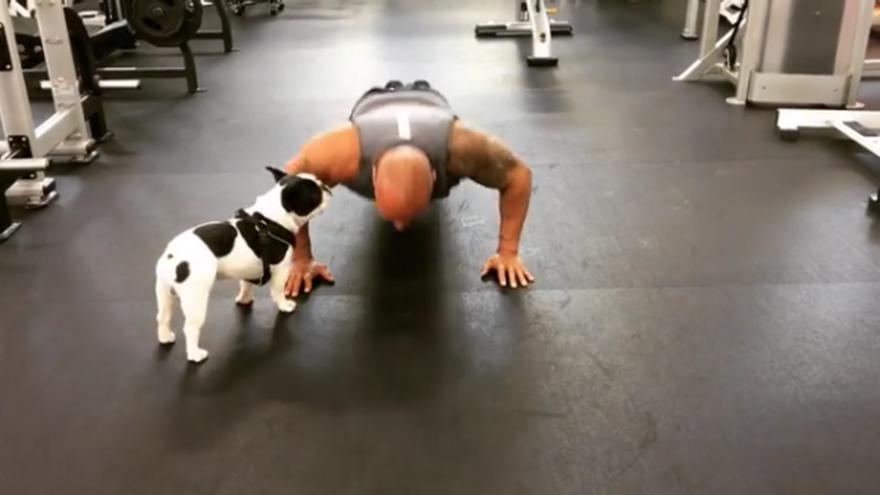 '22 Push-up Challenge', el nuevo reto viral