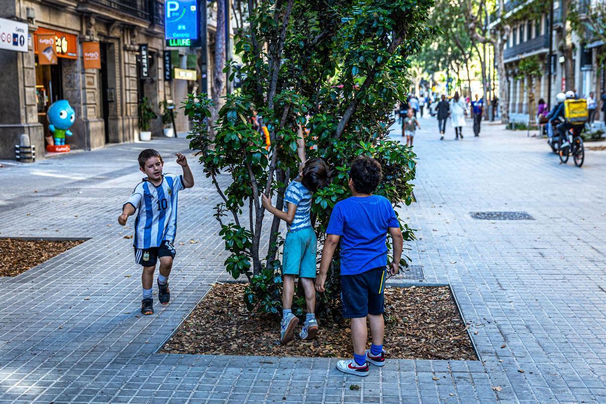 Escenas inesperadas de la Superilla del Eixample | FOTOS