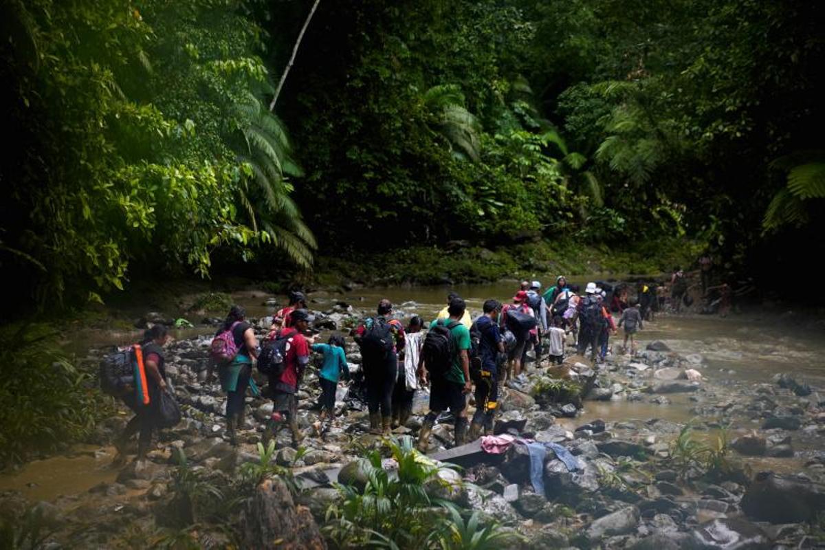 Migrantes cruzan el río Muerto en el Tapón del Darién, de viaje hacia ...