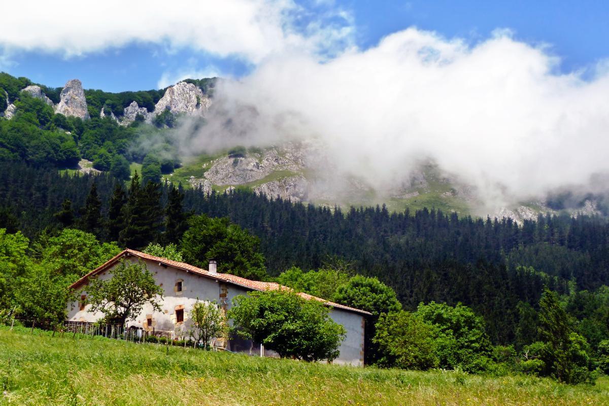 Vivir como un autóctono en Euskadi gracias al intercambio de casas