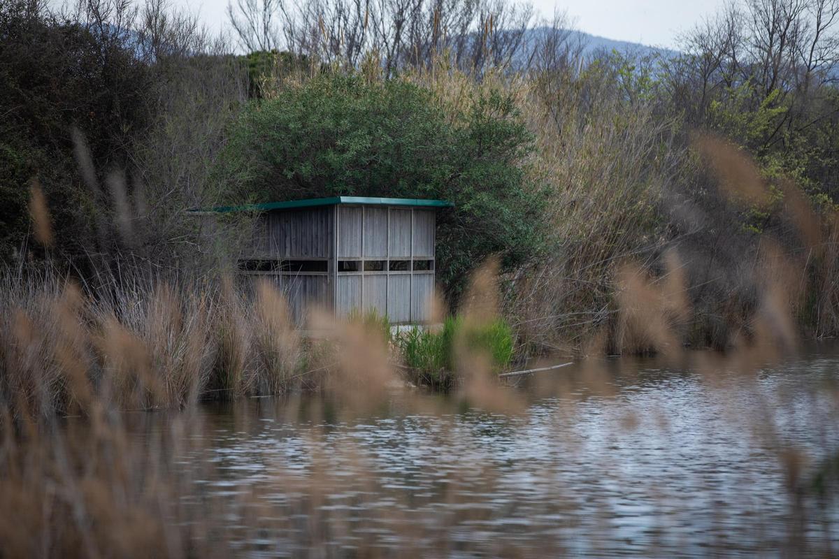 El Remolar-Filipines, humedales de la desembocadura del rio Llobregat ...