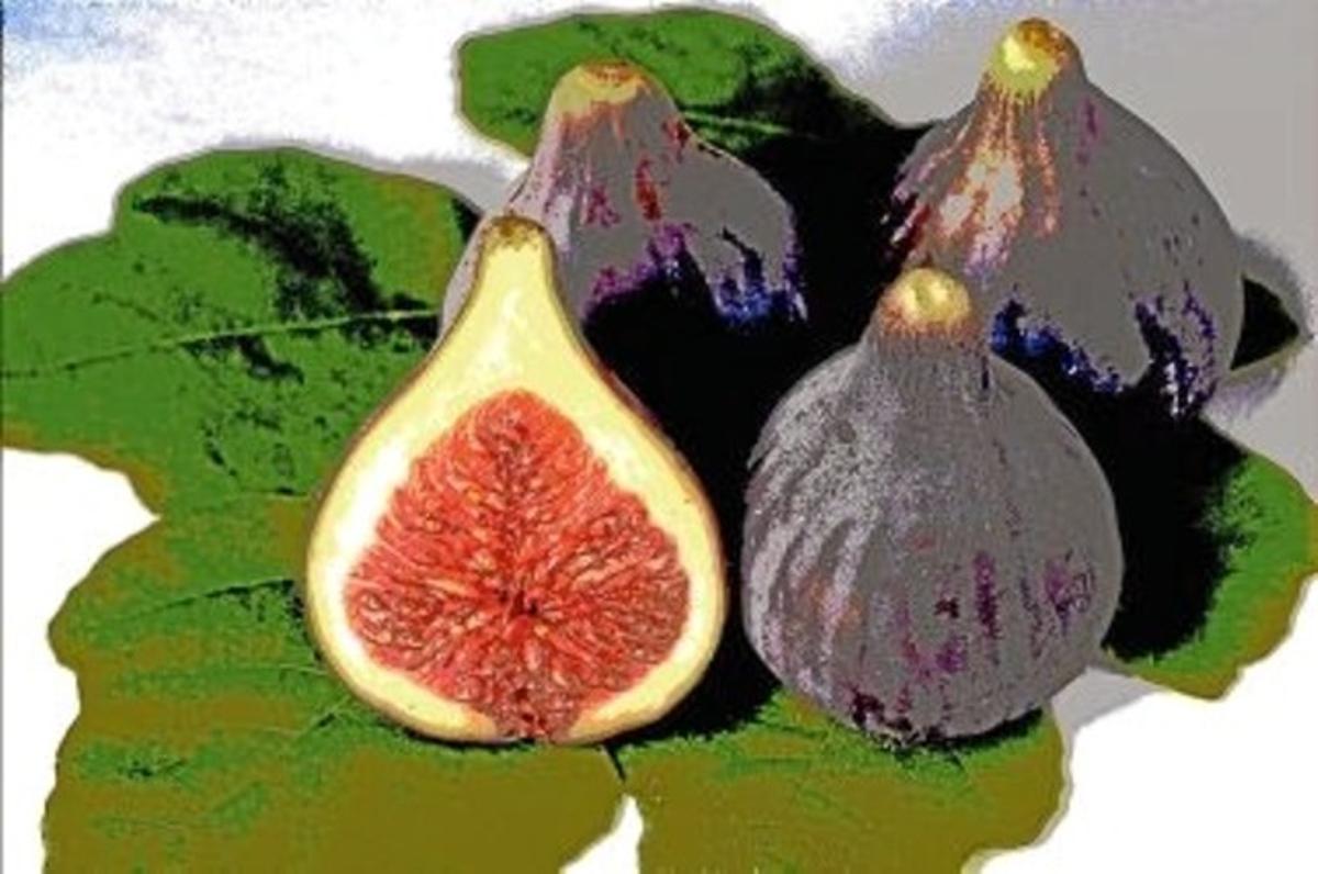 El higo: La fruta de los filósofos