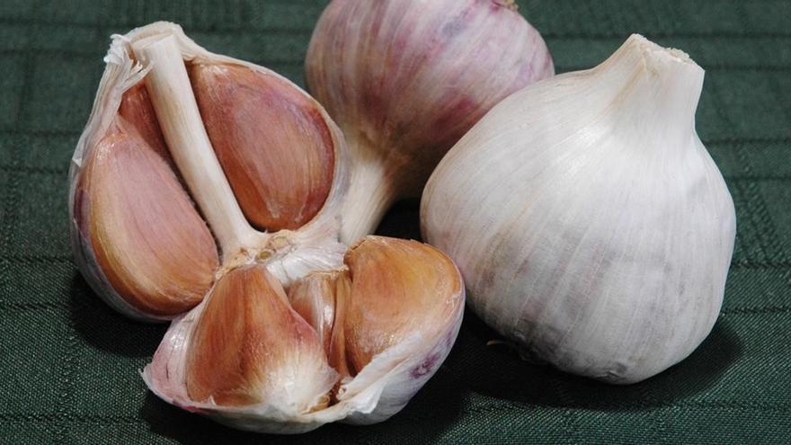 Ajo: un estudio repasa sus efectos biológicos