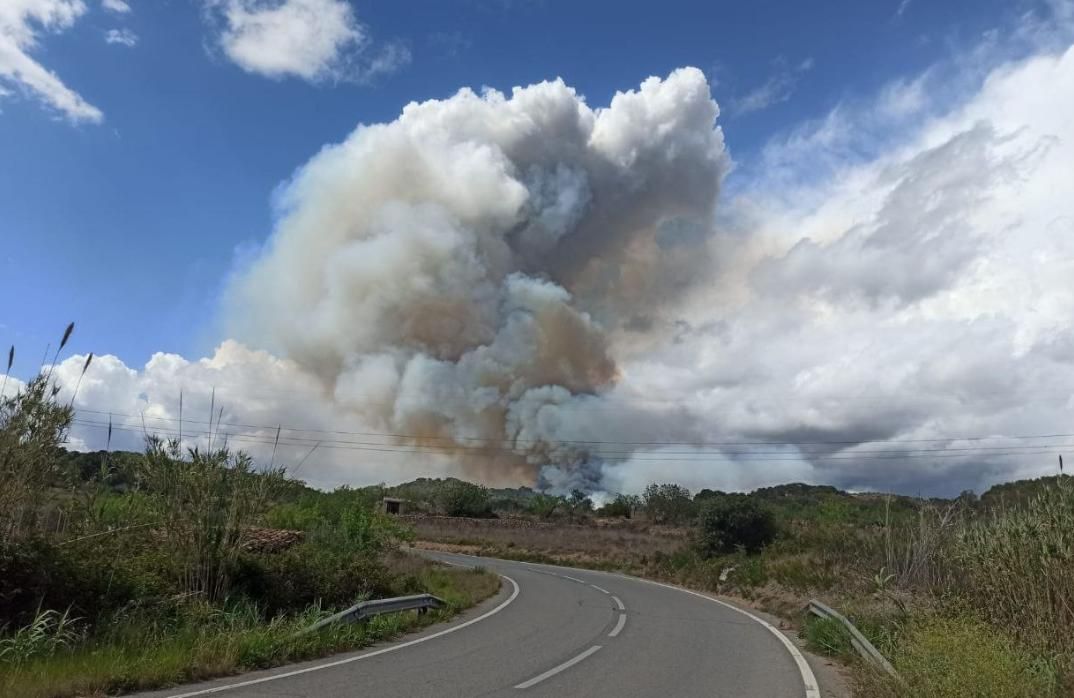 Los Bomberos estabilizan el incendio de Bonastre (Tarragona) tras ...
