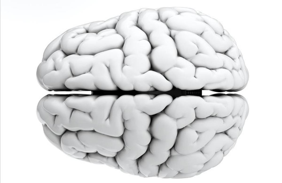 Setmana Mundial del Cervell: activitats per fer a l’Hospitalet