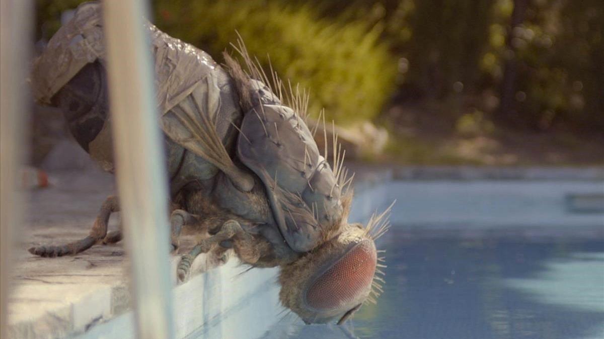 Sitges 2020: moscas gigantes, visitas del diablo y rituales vudú