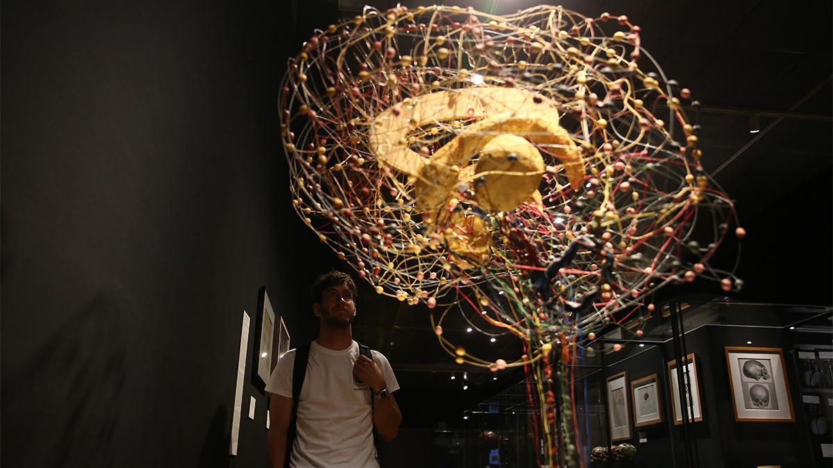 Exposición 'Cervell(s)' en el CCCB | FOTOS