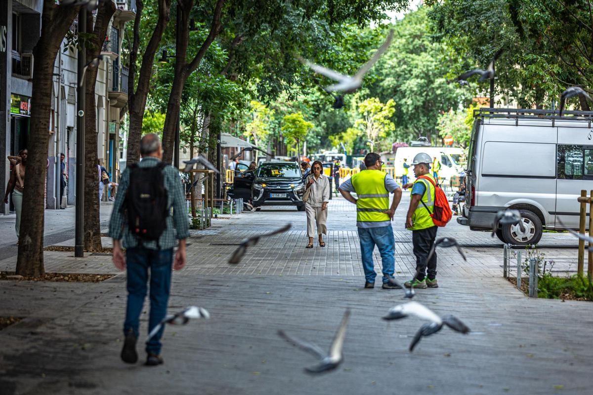 Escenas inesperadas de la Superilla del Eixample | FOTOS