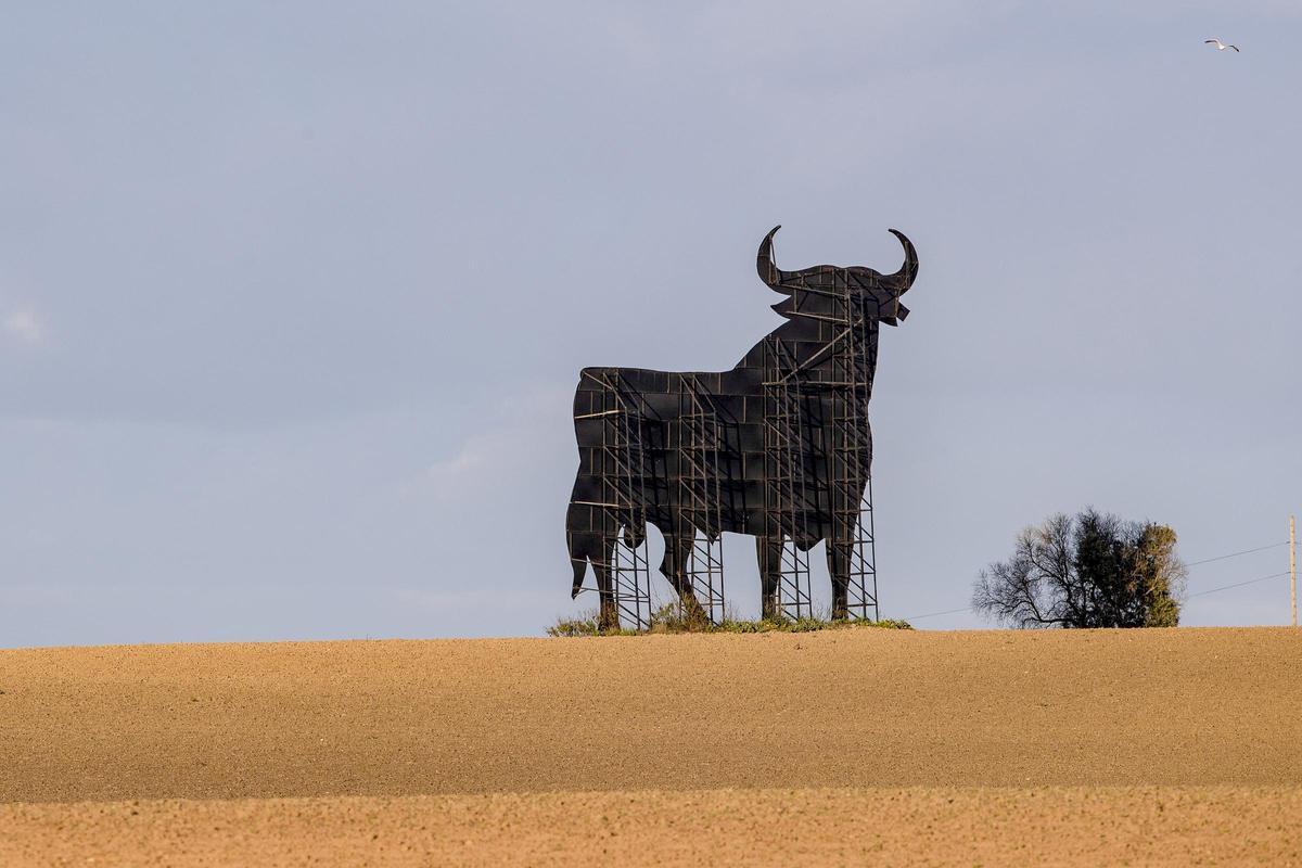 El icónico Toro de Osborne celebra los 25 años de su indulto | FOTOS