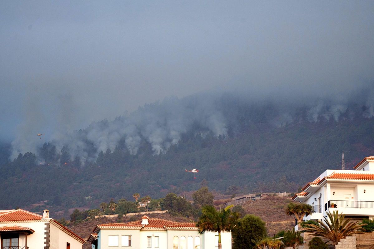Un Incendio Forestal En Tenerife Obliga A Evacuar Varias Zonas Fotos