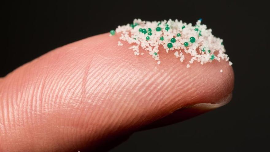 Nuevo peligro alimentario: los microplásticos ingerIdos por los peces