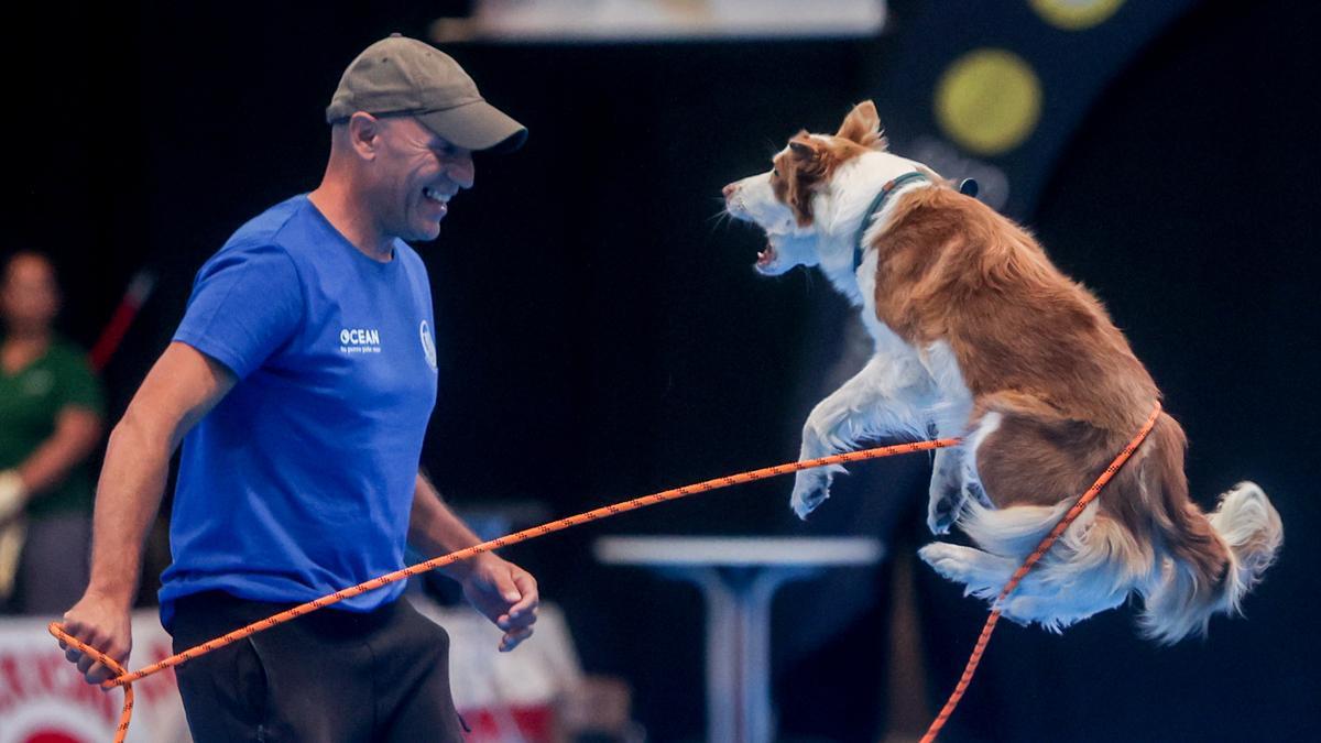Mad Dog Show: fiebre por los perros en Madrid | FOTOS