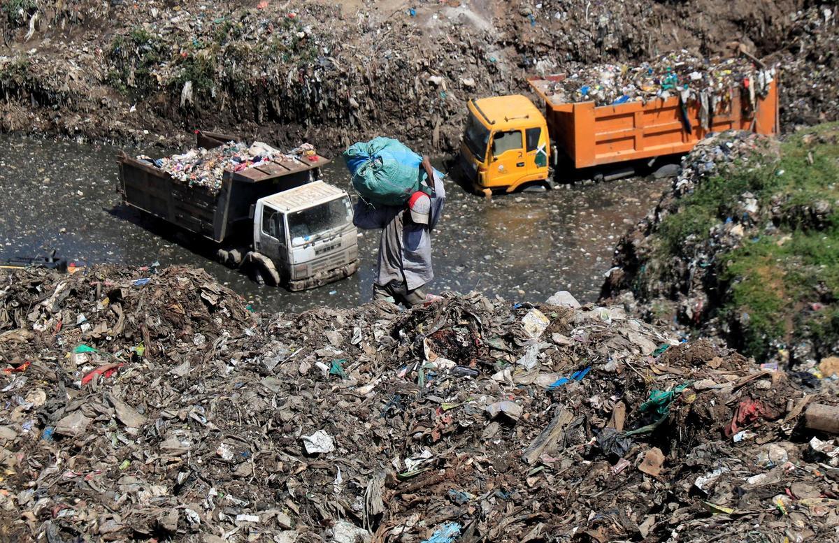 Día mundial del medio ambiente