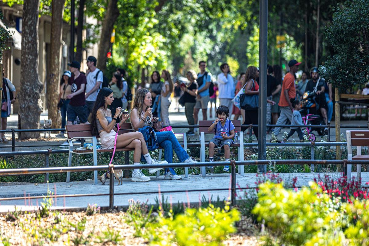 Escenas inesperadas de la Superilla del Eixample | FOTOS