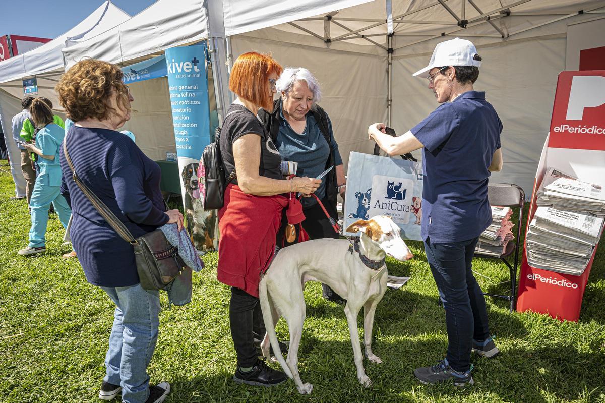 Can We Run Barcelona