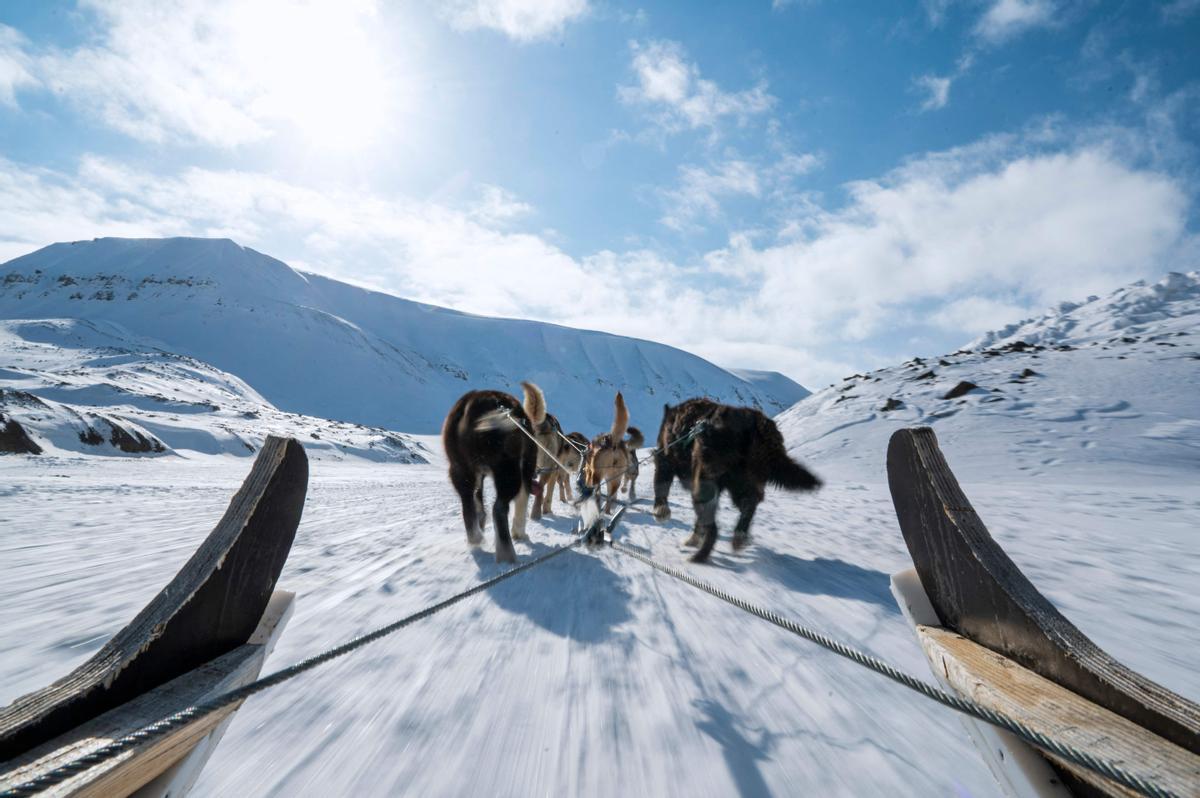 Viaje al archipiélago de Svalbard, en el Ártico | FOTOS