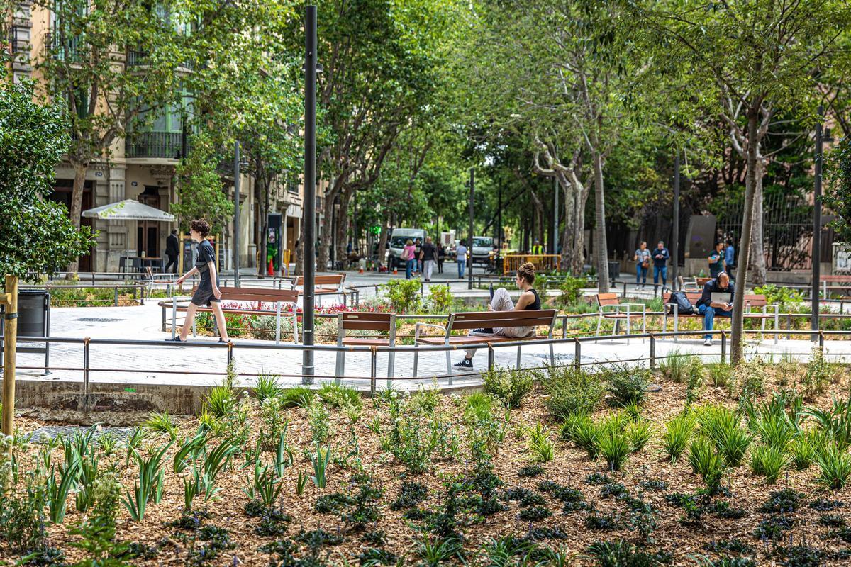 Escenas inesperadas de la Superilla del Eixample | FOTOS