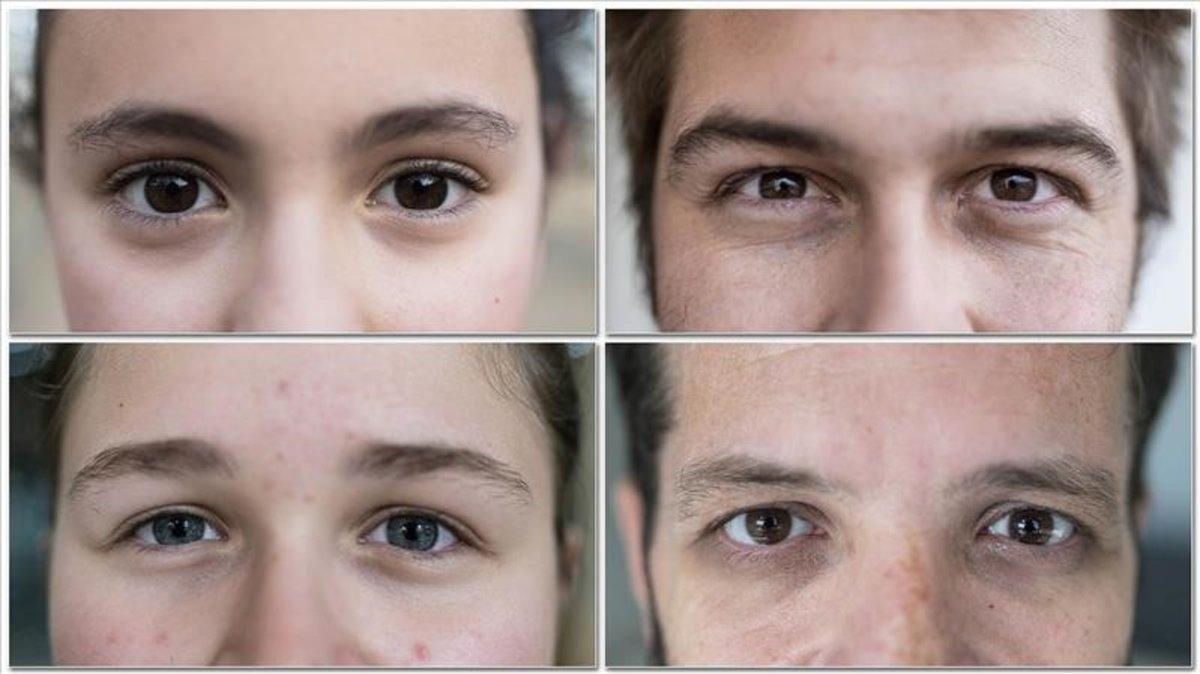 Veure-hi en gris, viure en color: així es conviu amb acromatòpsia