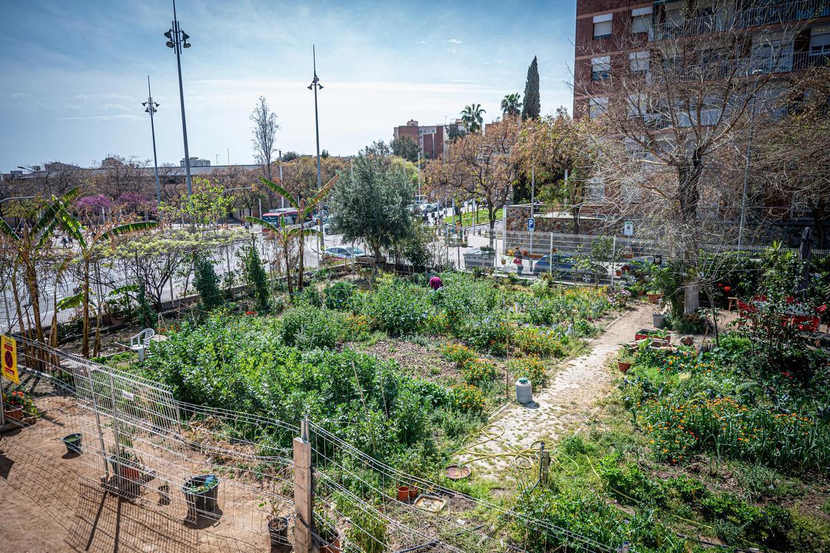 Fiesta de la arquitectura en la masía de Can Valent de Barcelona | FOTOS