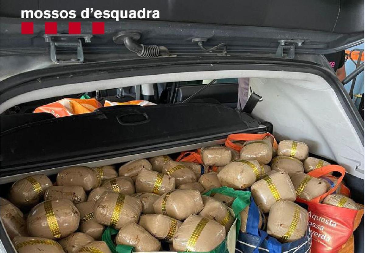 Droga en la AP7: las leyes de la narcovía