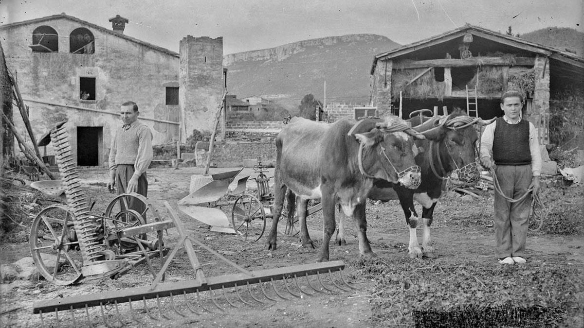 Exposición virtual interactiva de la muestra 'Valentí Fargnoli, el ...