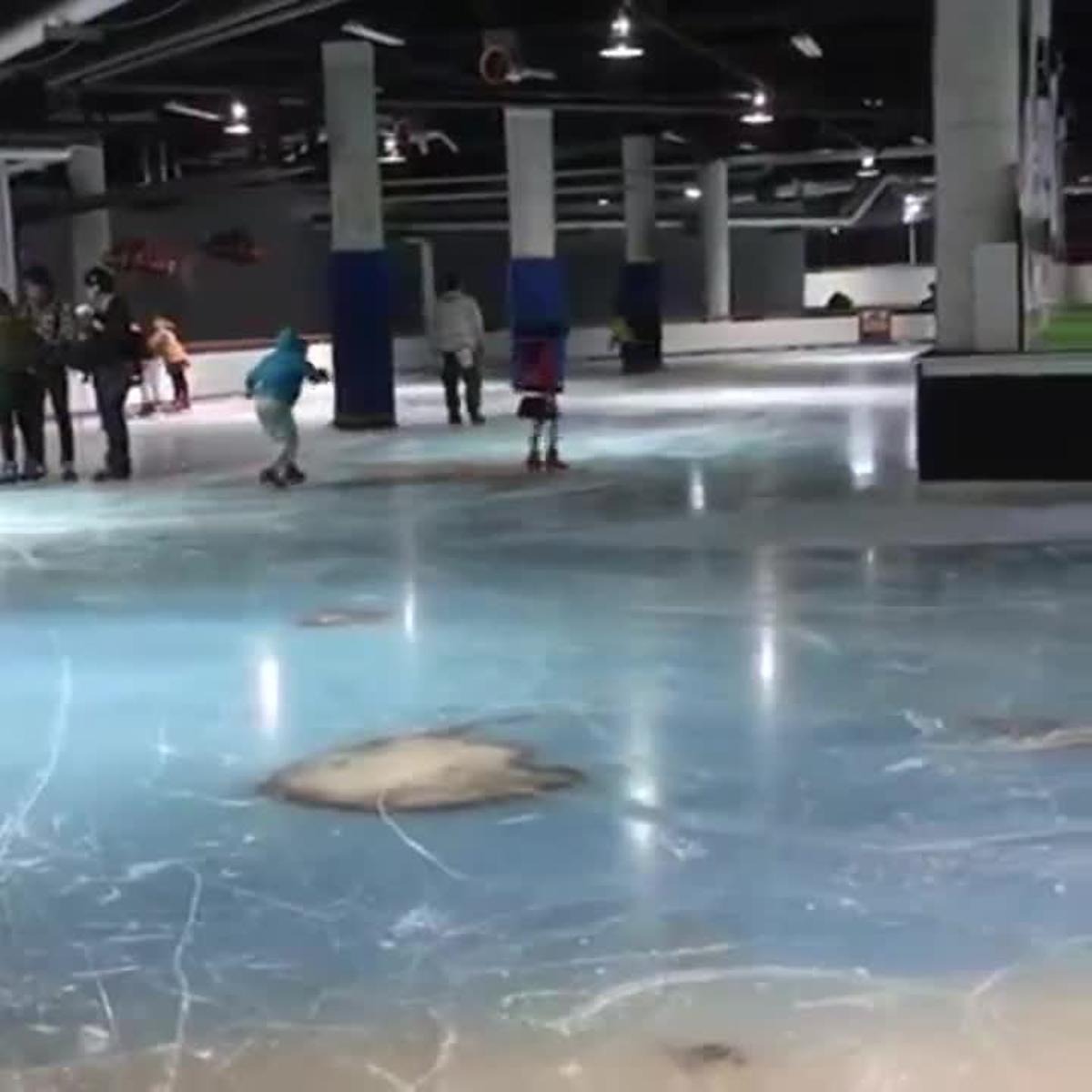 japanese-ice-rink-made-from-5000-dead-fish-space-world-japan-frozen ...