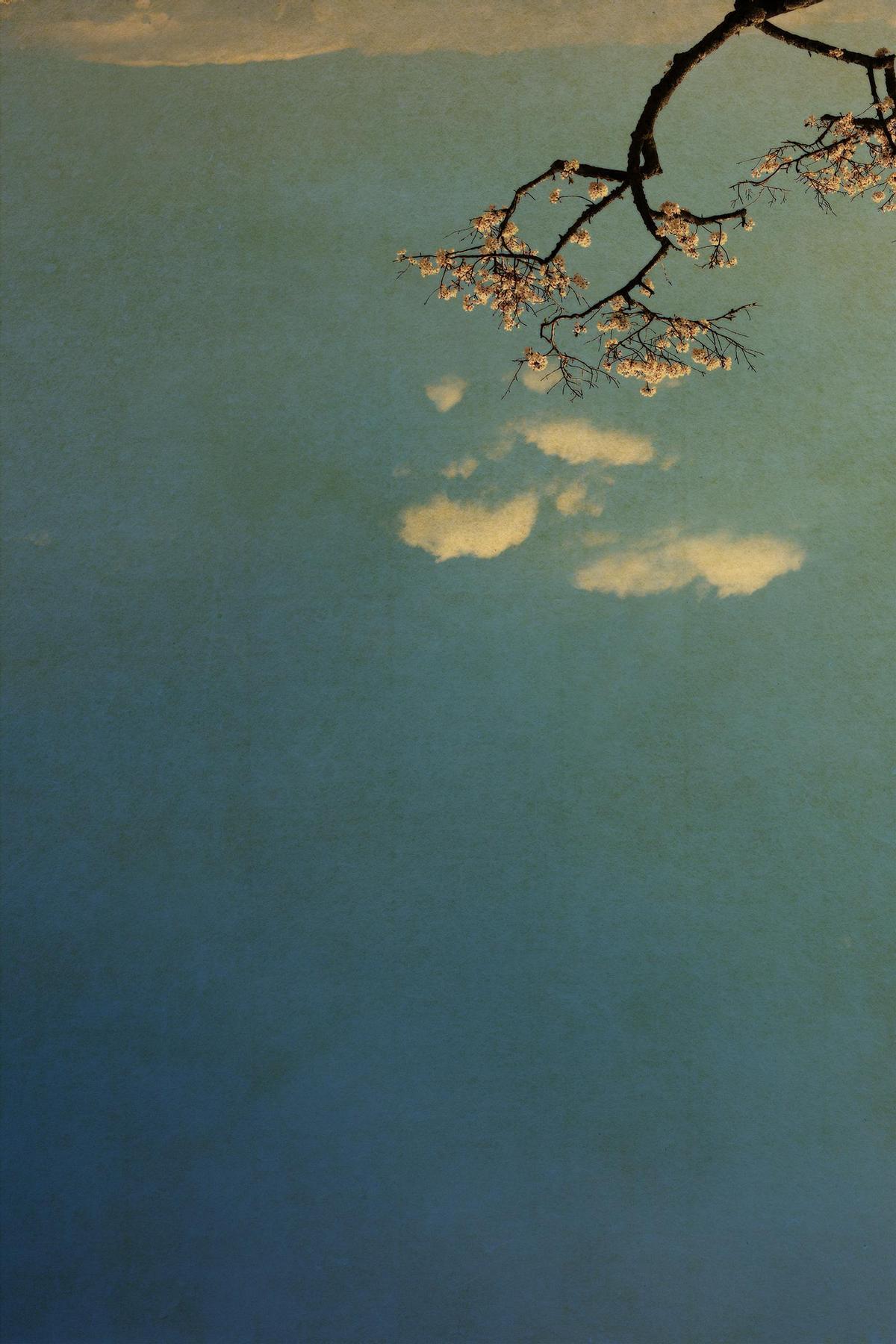 Foto Colectania expone 'Albarrán Cabrera. Lo indestructible' | FOTOS