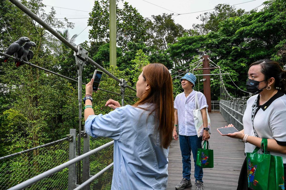 Singapur estrena el parque 'Paraíso de los pájaros' | FOTOS