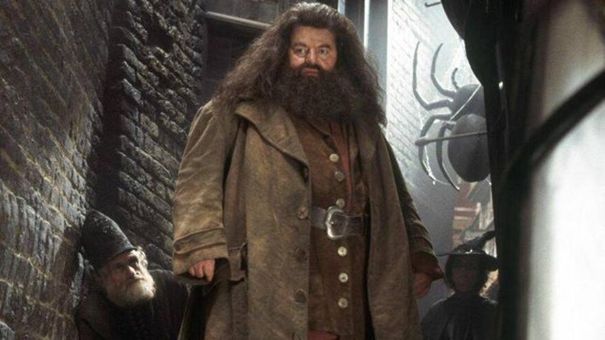 Actor Harry Potter | Mor l’actor britànic Robbie Coltrane, que ...
