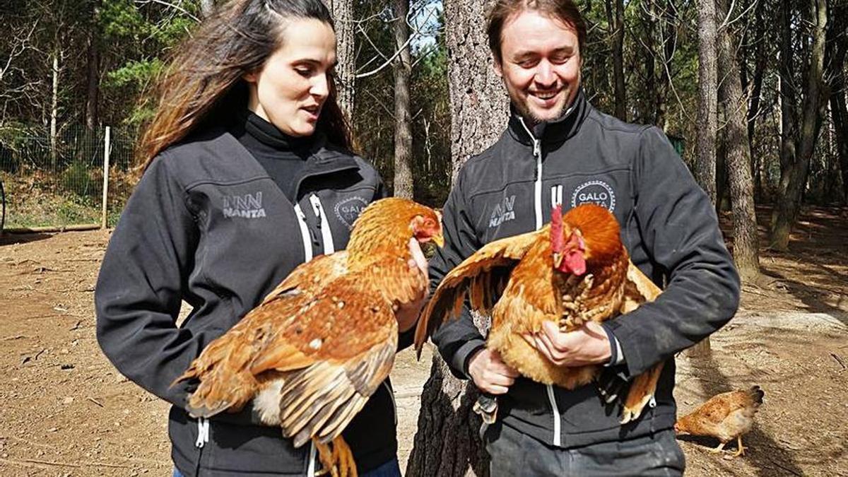 Así el Galo Celta, la empresa que produce los huevos que desayuna ...