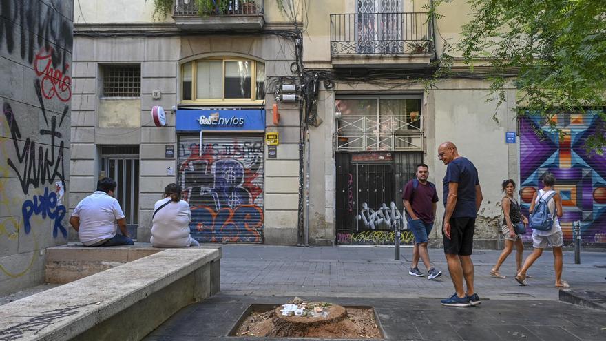 PALMERA RAVAL BARCELONA | La familia de Shamira, dolida por el vaciado ...