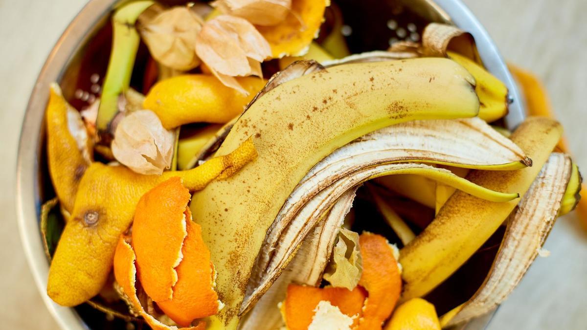 Claves para entender el desperdicio alimentario y evitarlo