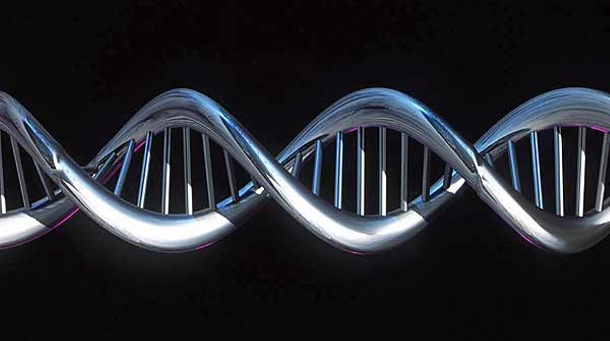 Descifrado el genoma humano