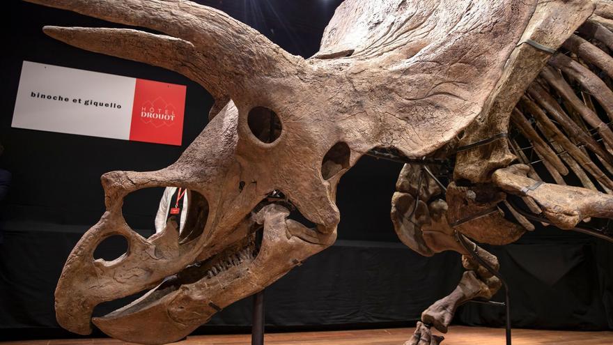 Dolly fue un dinosaurio y sufrió gripe