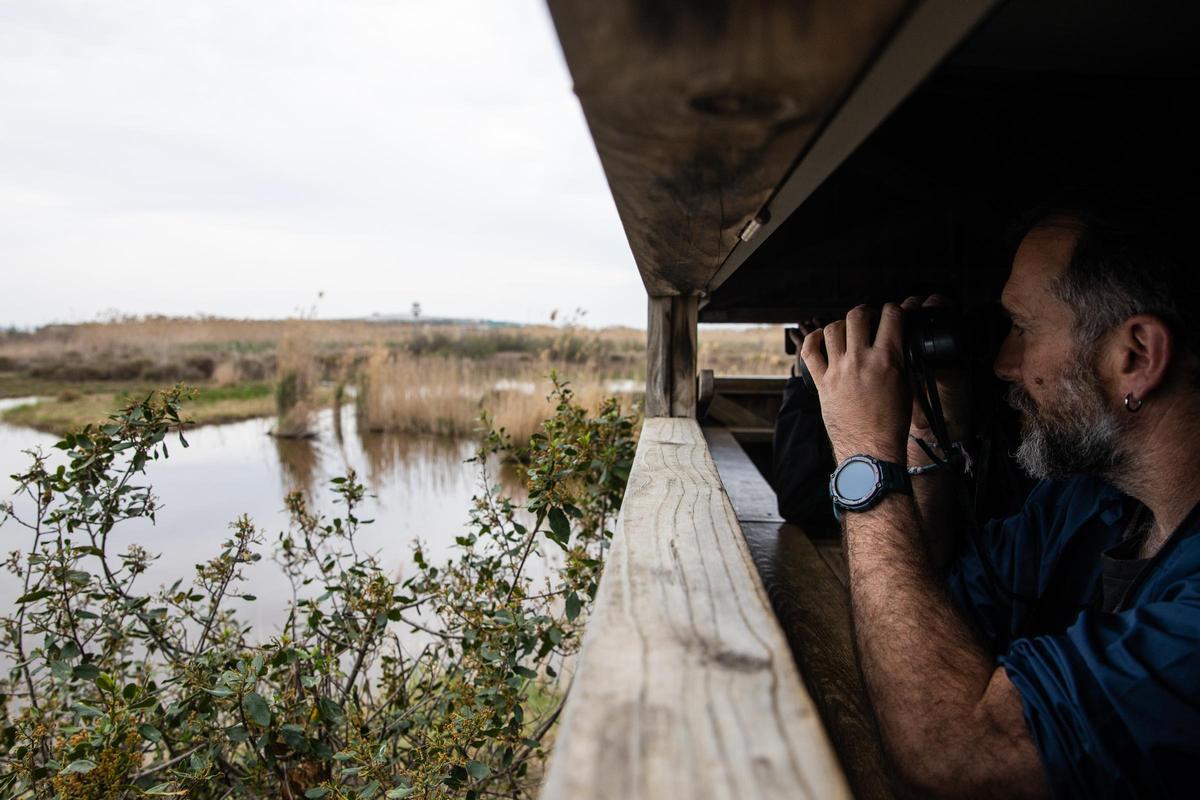 El Remolar-Filipines, humedales de la desembocadura del rio Llobregat ...