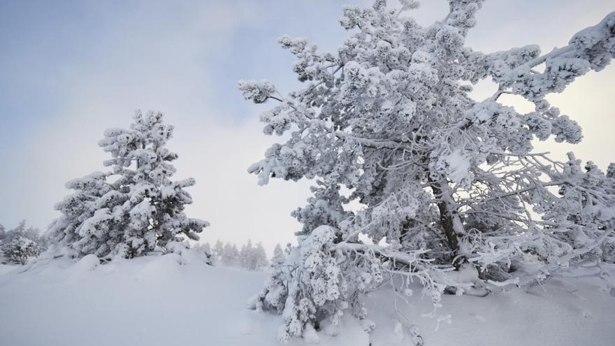 El tiempo invernal con nevadas, frío y viento llega este domingo, 15 de ...