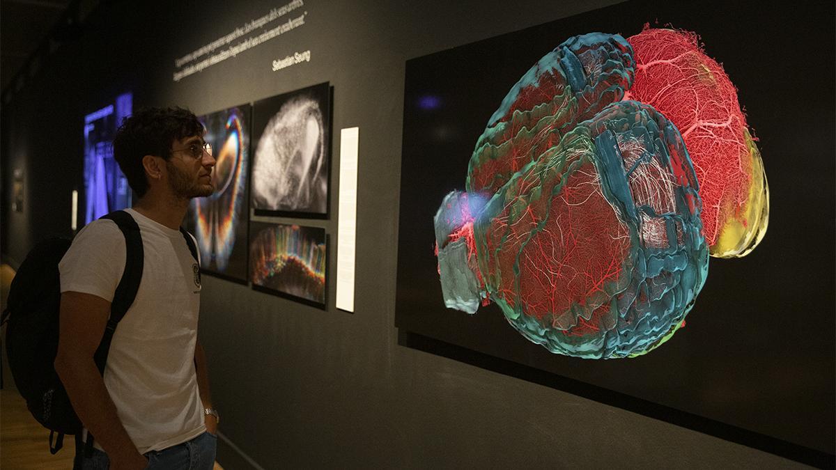 Exposición 'Cervell(s)' en el CCCB | FOTOS
