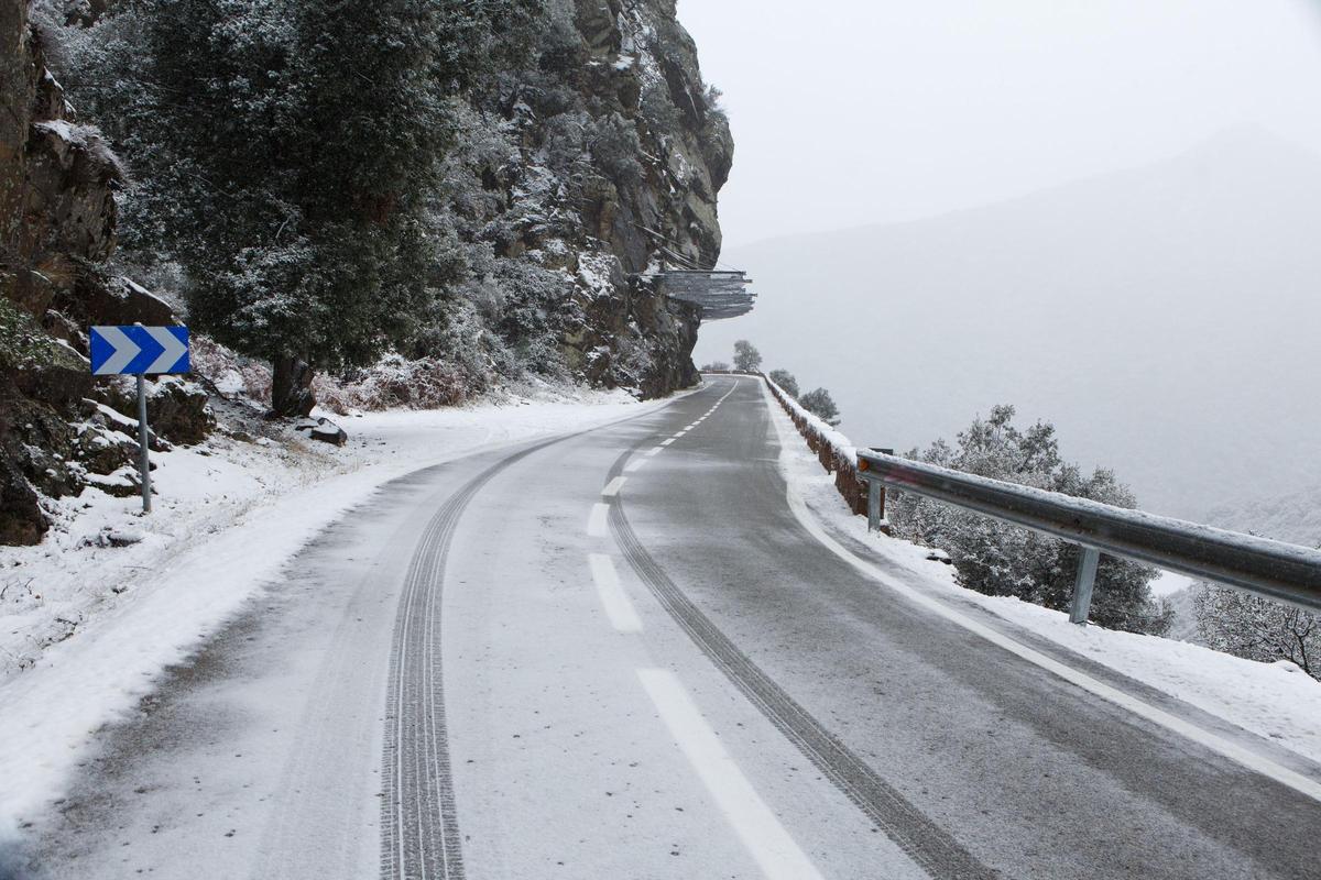 Nieve en Collserola: las mejores imágenes de la nevada en Barcelona