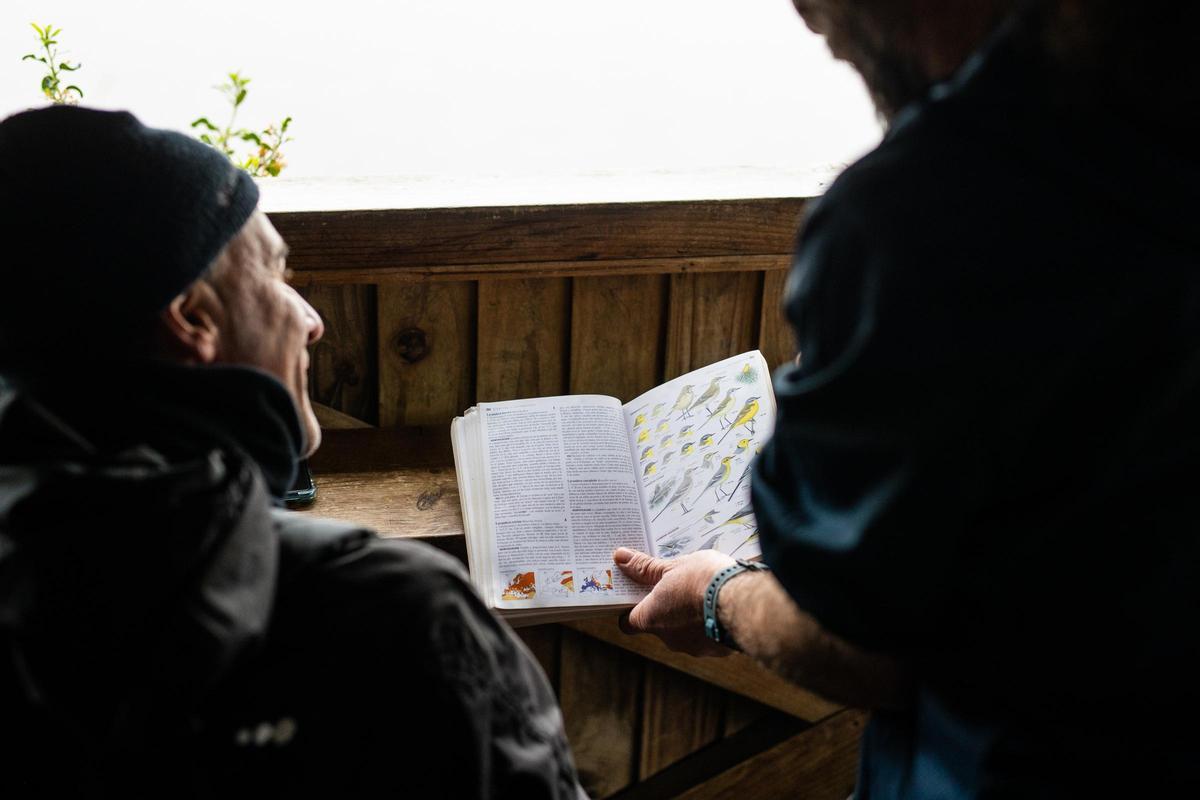 El Remolar-Filipines, humedales de la desembocadura del rio Llobregat ...