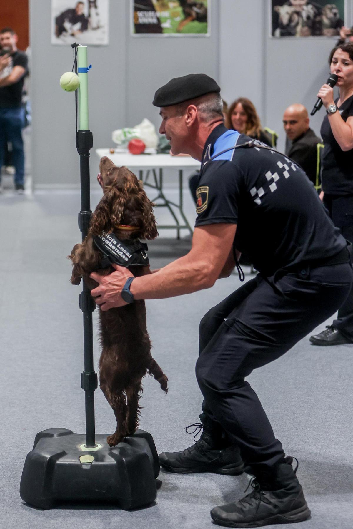 Mad Dog Show: fiebre por los perros en Madrid | FOTOS