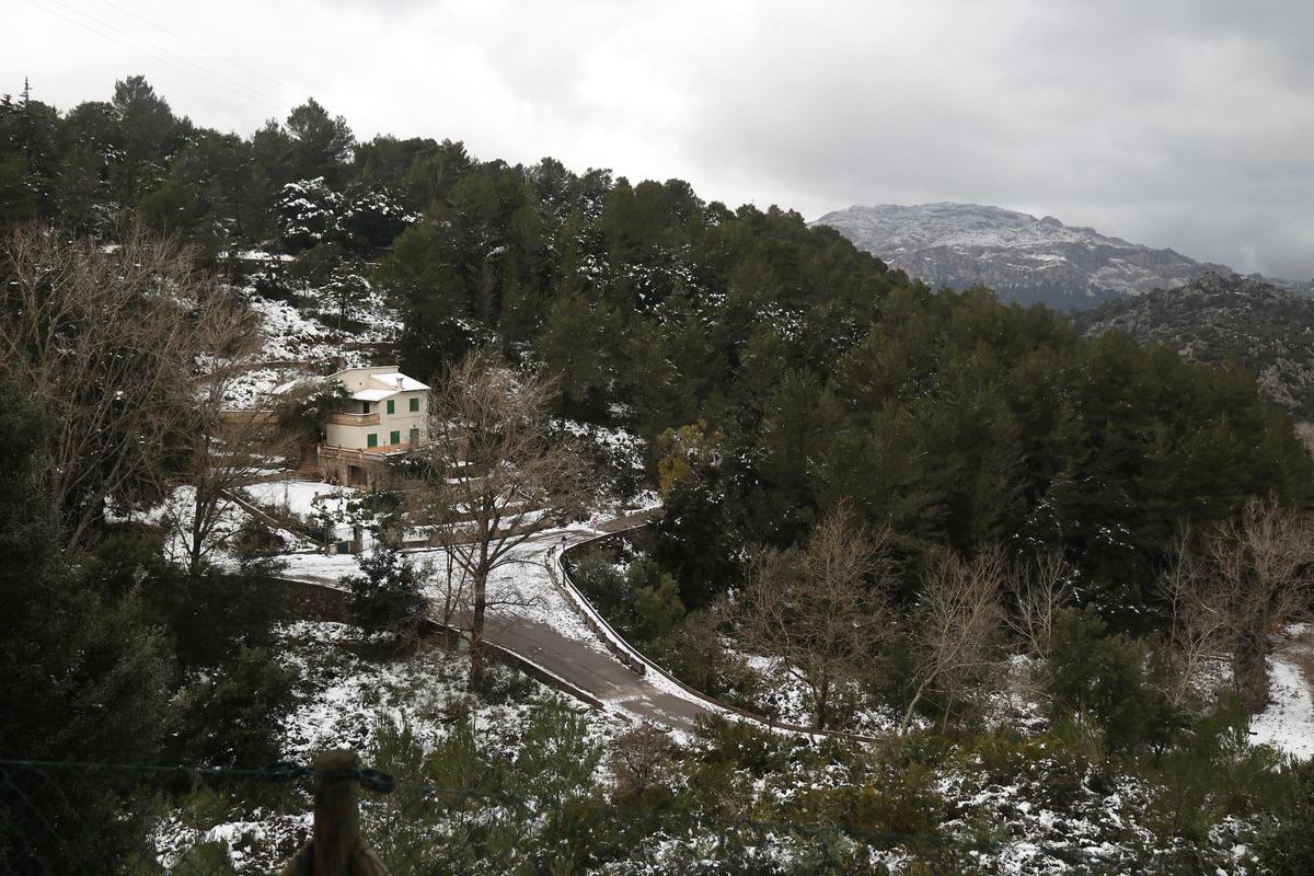 La nieve llega a la sierra de Tramuntana en Mallorca | FOTOS
