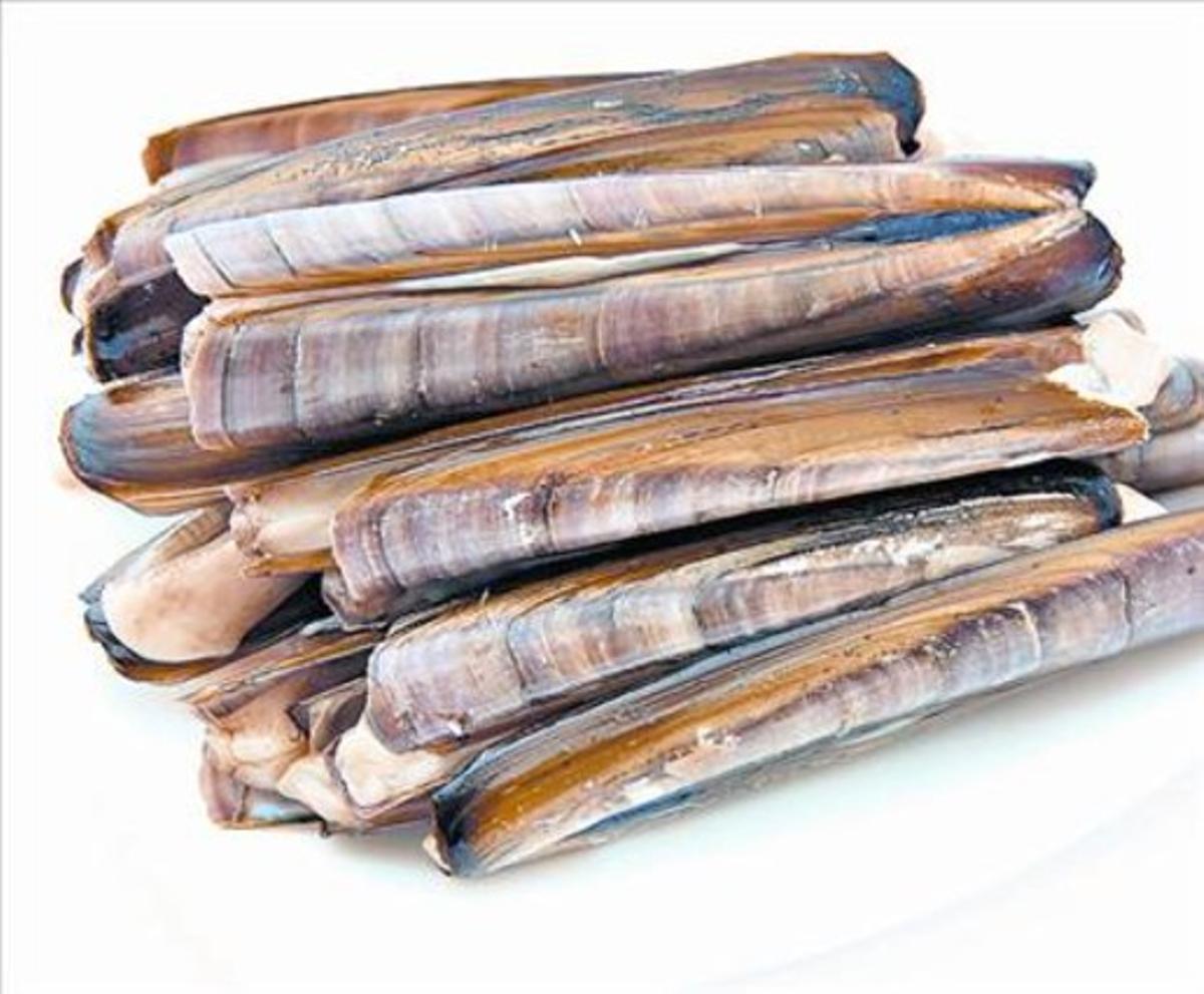 Un festival de navajas